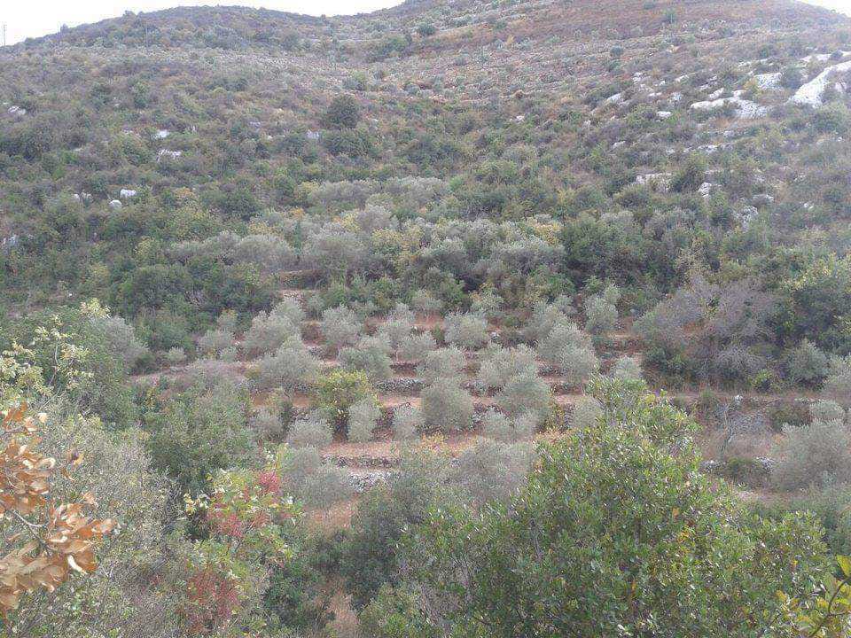 The Breeze Spring | Regenerative Experience in Lebanon